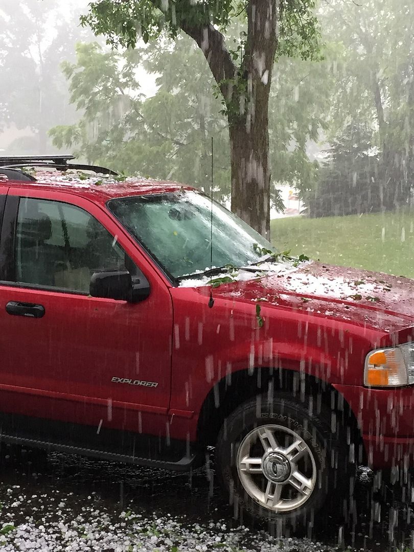 cleenenhaus: Turbo LS1 Miata Build - Page 19 - MX-5 Miata Forum