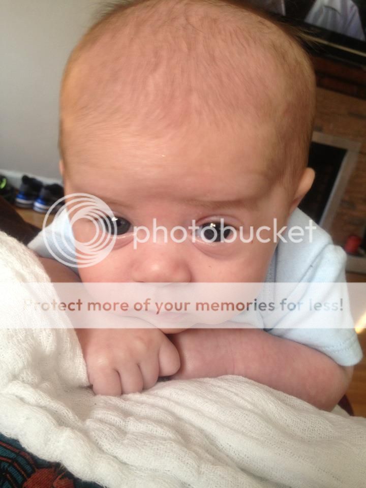 Baby Jax getting big! - Statue Forum