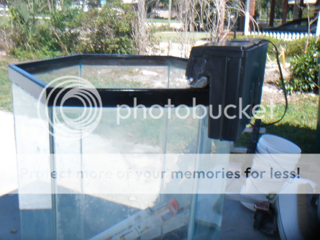 2nd Light Forums Forums - 60 gallon hex fish tank
